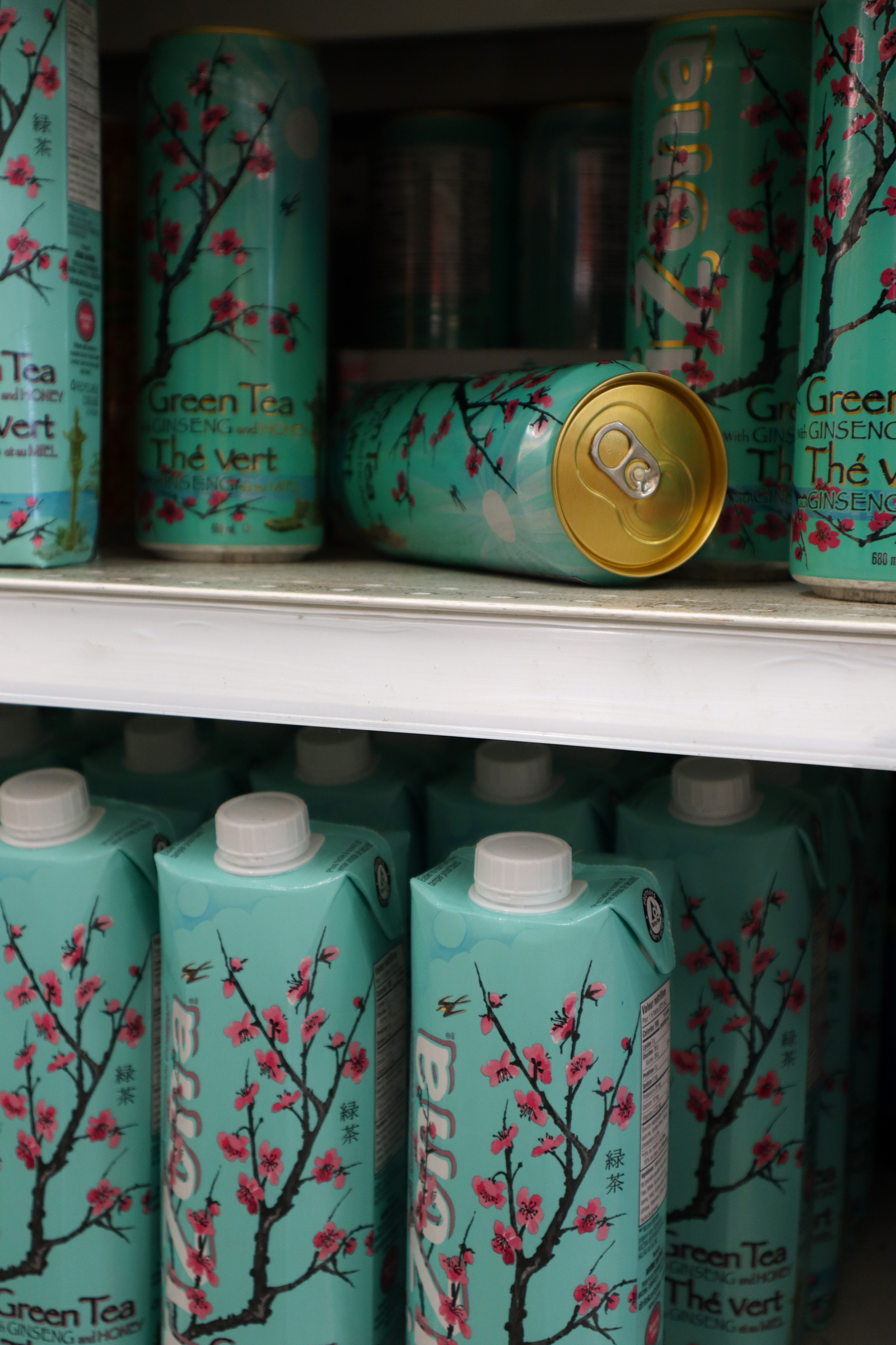 brandon-vo (Brandon Vo) · GitHub